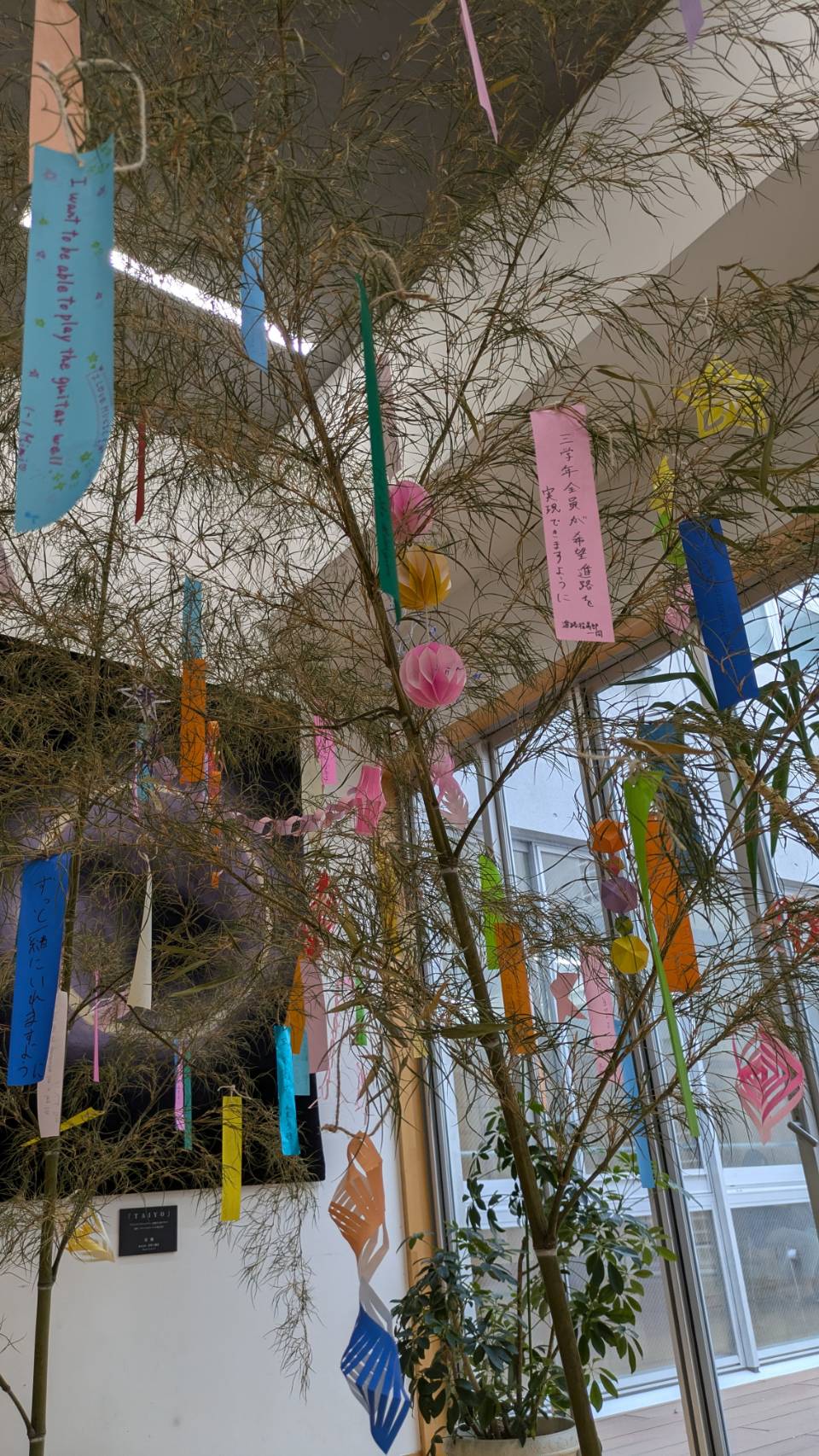 生徒会七夕企画「星に願いを！」 | 東海大学山形高等学校